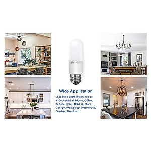 Jolux LED Stick Light Bulbs, Enclosed Fixture Rated,60W Equivalent, 5000K Daylight, 800 Lumen,Medium Screw Base E26 led Bulbs,Non-Dimmable,6 Count (Pack of 1)…
