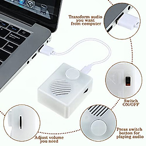 16M Sound Box for Stuffed Animals, 960 Seconds Push Button Sound Box for St Patrick's Day Voice Gifts, Craft, Toy Doll Inflatables, USB Voice Playing Button Device for Baby Audio Message Bear Doll