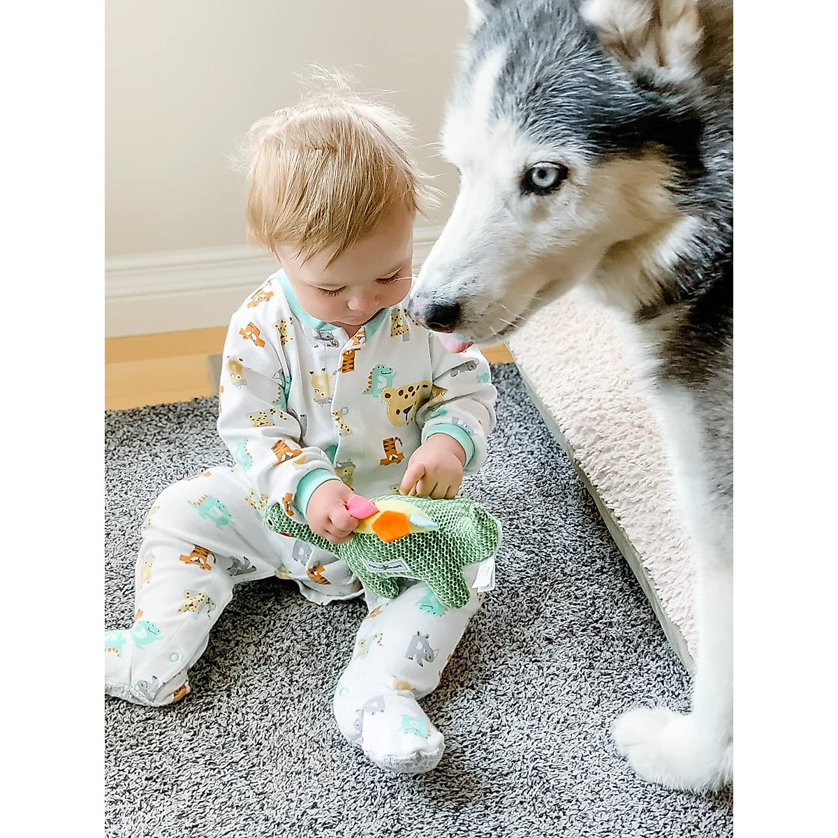 HugSmart Pet - Dinosaur Land | Squeaky Plush Dog Toys for Small Medium Dogs| Textured Sandwich Mesh Cute Teething Toys for Puppies