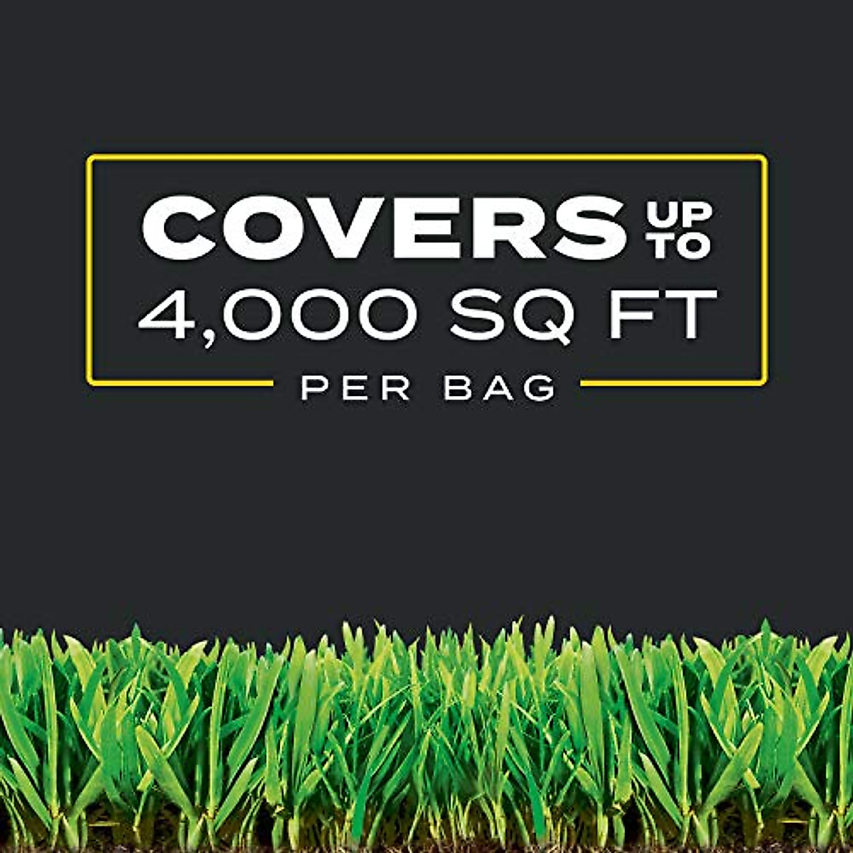 Scotts Turf Builder Triple Action - Weed Killer & Preventer, Lawn Fertilizer, Prevents Crabgrass, Kills Dandelion, Clover, Chickweed & More, Covers up to 4,000 sq. ft., 20 lb.