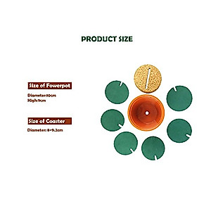 TriPro Original Coasters Set of 6 Pieces with Creative Cactus Shaped Design for Holiday Gift & Home Decoration