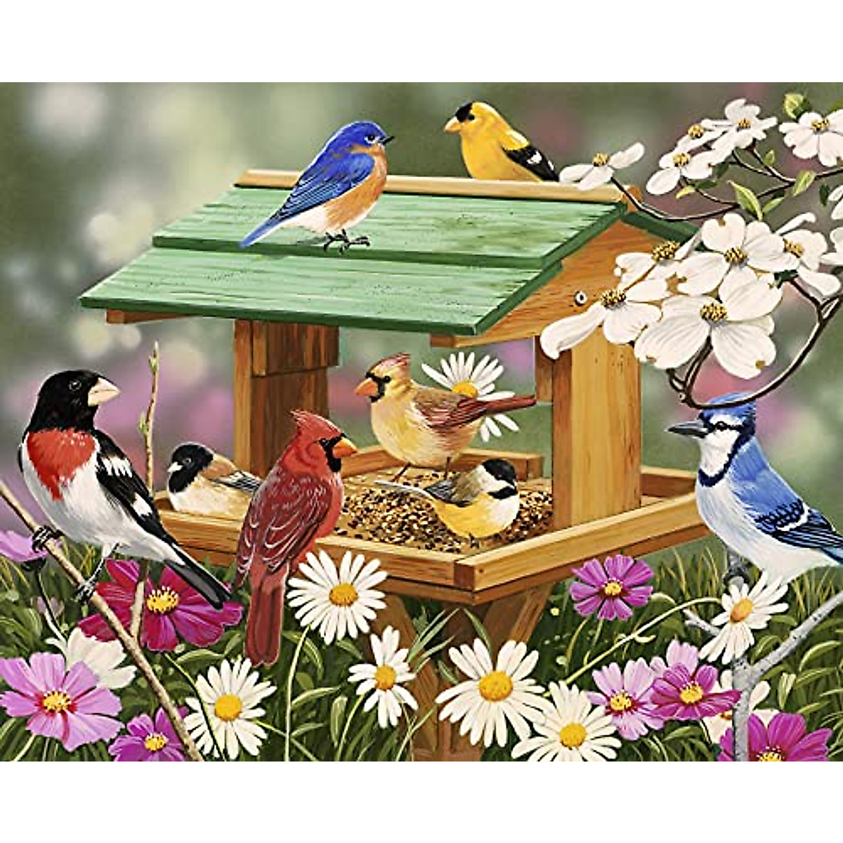 Spring Feast Birds Panel with Daisy and Dogwood Cotton Fabric AL4207 Size 36 X 44 Inches