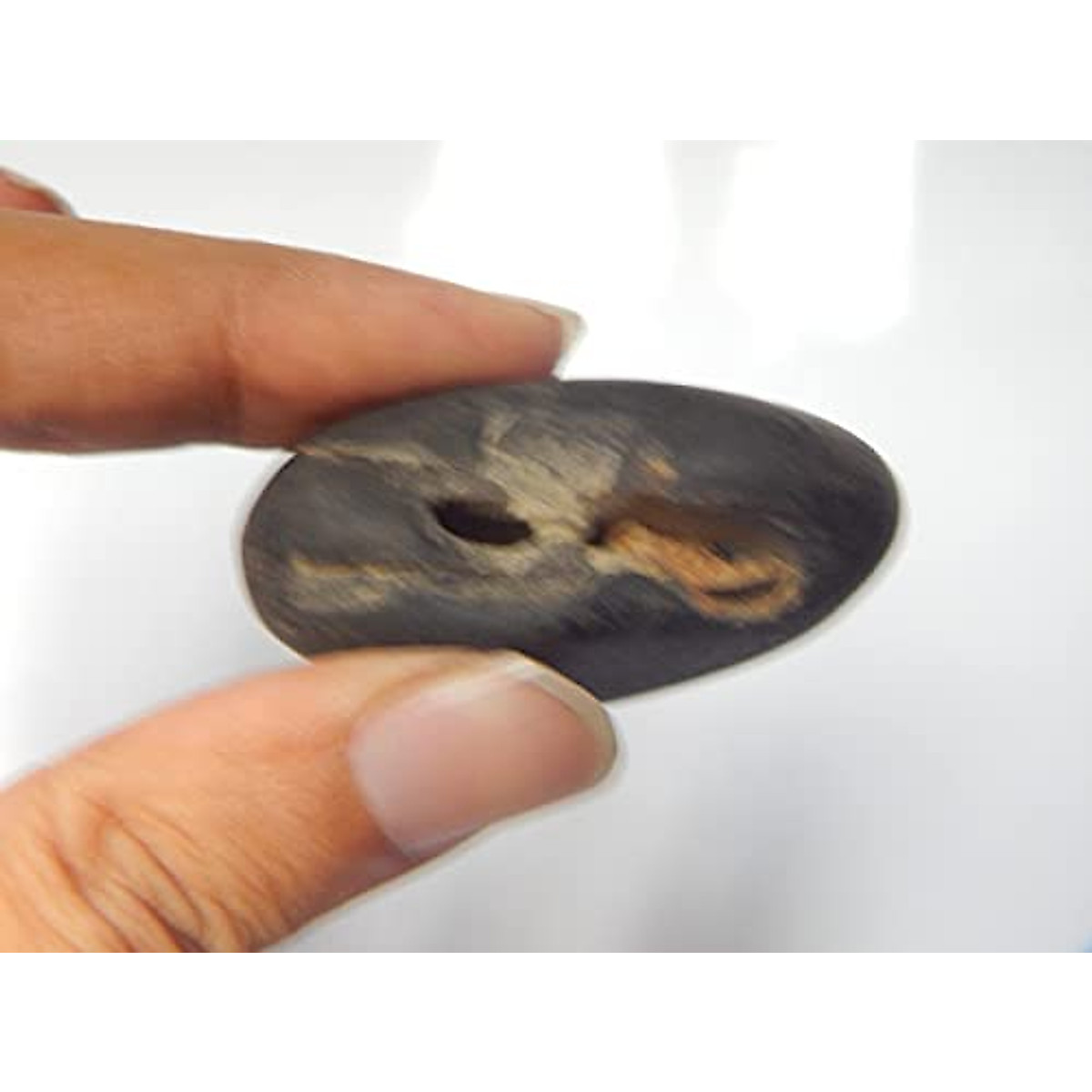 XUETZALCOATL Sacred Adwaitya Maha Vishnu Shaligram Nepal Kali Gandaki