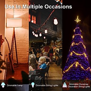 Outdoor Dimmer for String Lights,560W Outdoor Dimmer Plug, Weatherproof Lights Dimmer Plug,100FT Wireless Remote Control Dimming Timer for Led Light or Lamp Patio Lights Dimmer Timer (3 Prong Plug)