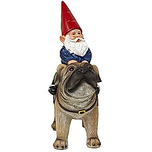 Funny Guy Mugs Garden Gnome Statue - Gnome Riding a Pug - Indoor/Outdoor Garden Gnome Sculpture for Patio, Yard or Lawn