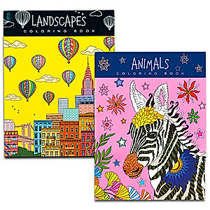 Adult Coloring Books Super Set -- 10 Deluxe Coloring Books for Adults and Teens