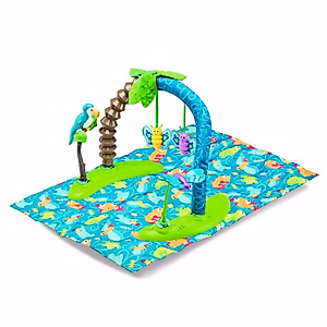 Evenflo Exersaucer Triple Fun Active Learning Center, Life in the Amazon
