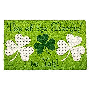 DII Indoor/Outdoor Natural Coir Fiber Spring/Summer Doormat, 17x29, Top of The Mornin' to Yah!
