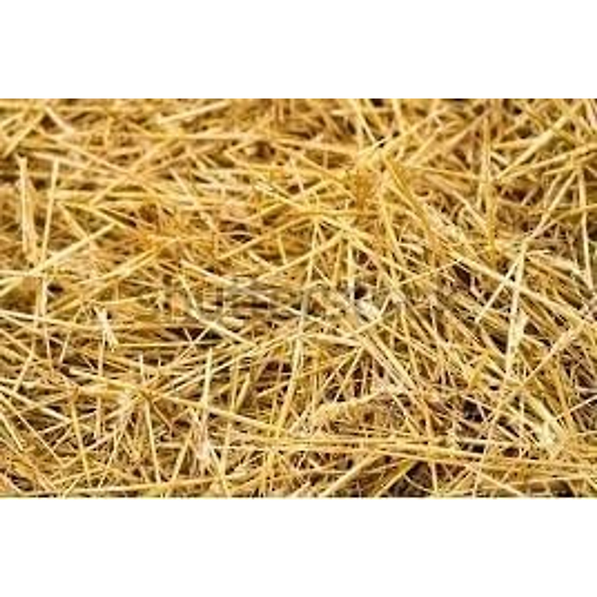 Premium Garden Straw (4 LBS) - Straw Mulch That is Designed for Use in Compost Beds, Gardens, Pet Bedding, Lawns and Much More. by Home and Country USA