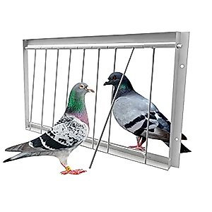 Racing Pigeon Trap Door,15.8in* 10.2in Pigeon T-Trap Entrance House Loft Door,Bird Cage Door,Pigeon Supplies