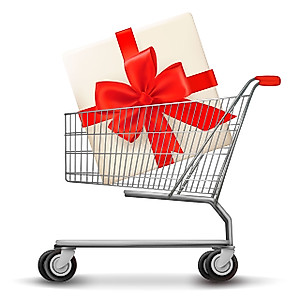 Dorcy 40-Lumen 4.5-6-Volt LED Replacement Bulb with 10-Year Lifespan, (41-1644) , Silver