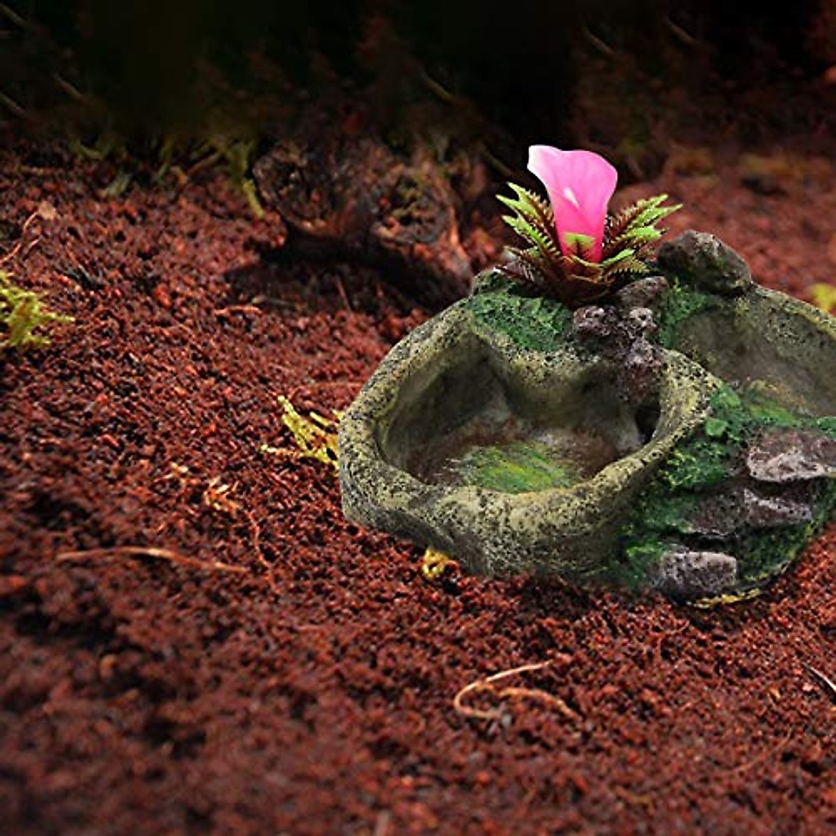 Resin Reptile Platform Artificial Tree Trunk Reptile Food Dish Food Water Bowl Lizard Crawling Platform for Lizard Turtle Gecko Water Frog Snake Amphibian Other Reptile