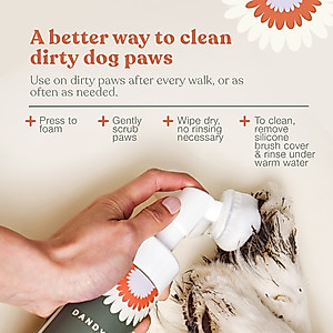 Dandylion Clean Paws | No-Rinse Foaming Cleanser | Gentle, Fragrance-Free, and pH Balanced to Provide a deep Clean Safe for All Dogs | 5fl oz. Bottle with Silicone Bristle Brush