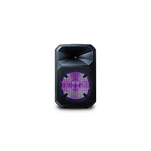 Ion Audio Total PA Max Speaker