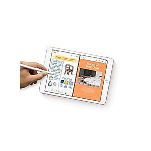 2019 Apple iPad (10.2-inch, Wi-Fi, 32GB) - Silver (Renewed Premium)