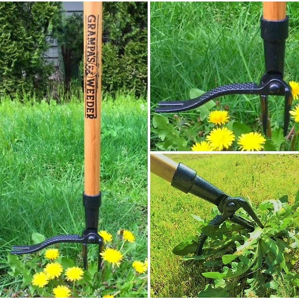 Grampa's Weeder - The Original Stand Up Weed Puller Tool with Long Handle - Made with Real Bamboo & 4-Claw Steel Head Design - Easily Remove Weeds Without Bending, Pulling, or Kneeling