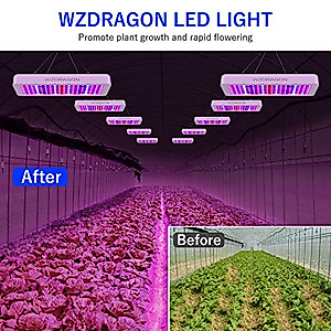 WZDRAGON 2024 Newest BW1000 LED Grow Lights Double Chips Full Spectrum for Greenhouse and Indoor Plant Veg and Flower Growing [White]