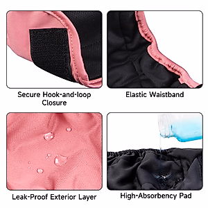 Paw Legend Washable Reusable Female Dog Period Diapers for Heat Doggie Puppy Diapers for Female Dogs (3 Pack,X-Large)