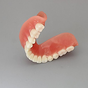 Smile1000 Dental Model Overdenture Inferior 4 Implants Demo for Teaching and Studying