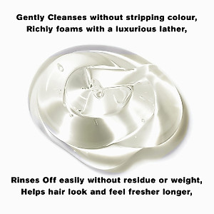 SNOBGIRLS NORMADENSE 2 Vegan Biotin Shampoo for Dry, Fine Hair. Strengthening Shampoo with Argan Oil and Biotin (10.1 Fl Oz)