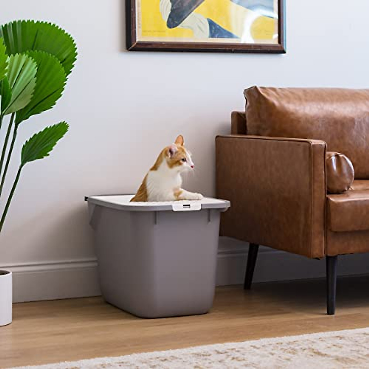 IRIS USA Square Top Entry Cat Litter Box, Large Kitty Litter Tray with Litter Catching Lid Less Tracking Dog Proof and Privacy Walls, Gray/White