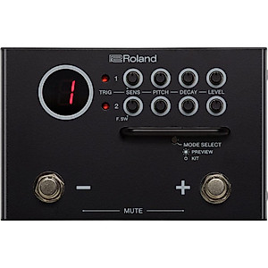 Roland TM-1 Dual Input Trigger Module with WAV Manager Application (TM-1)