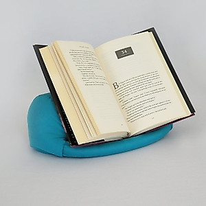 Renegade Concepts LAP PRO - MINI, Universal Beanbag Lap Stand for iPad Mini 1,2,3,4, iPad Air, Kindle, Galaxy, Xoom, Acer, & all Android Tablets - Bed, Couch, Travel - Adjustable Angle; 0-89 deg.