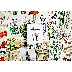 Vintage Collection Postcard Set: Pack of 30 Retro Style Botanical, Nature and Ephemera Postcards by Wintertime Crafts