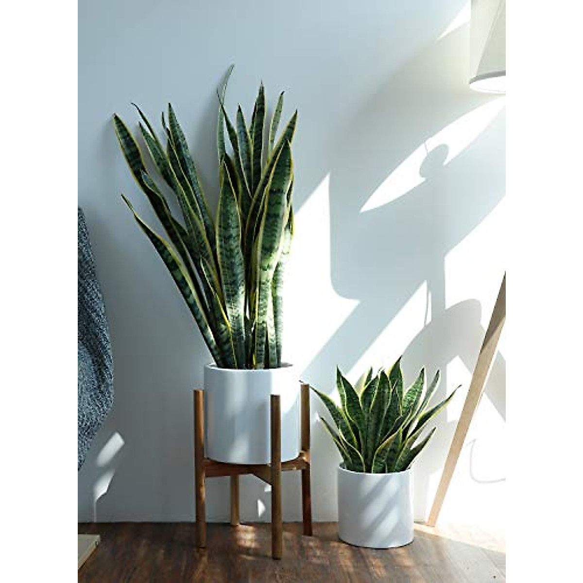 8 Inch Glazed Ceramic Indoor Planter Pot - Modern Large Cylinder Container with Watering Drainage Rubber Plug - Fits Succulents, Flowers or Bonsai