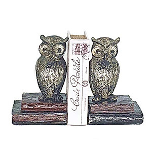 Bellaa 21725 Decorative Bookends Owl Wide Eyed Rustic Retro Shabby Chic Unique Book Ends Birds Boho Farmhouse Home Decoration Office Library Shelves Stoppers Holder Nonskid Scholastic Kids Vintage