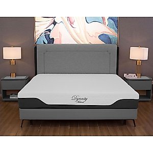 DynastyMattress 10-inch CoolBreeze Gel Memory Foam Mattress-Queen Size