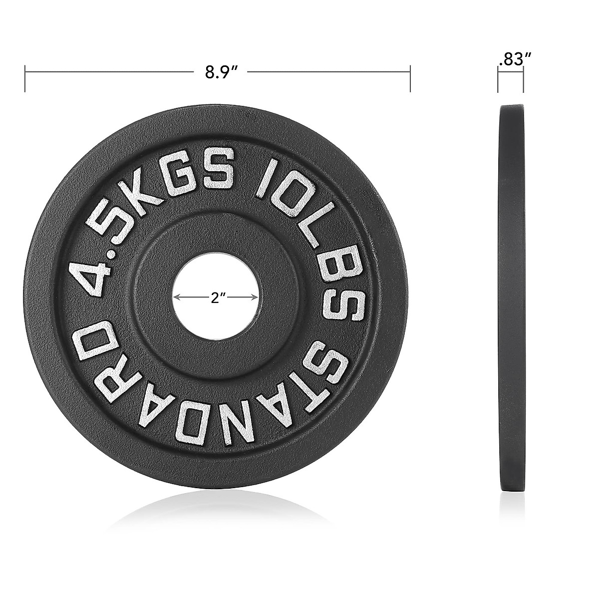 Philosophy Gym Set of 2 Standard Cast Iron Olympic 2-inch Weight Plates (10 LB each)