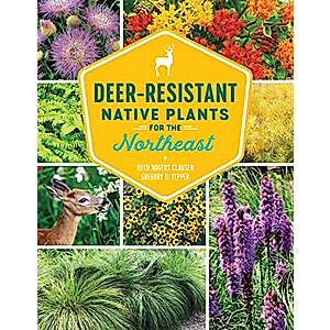 Deer-Resistant Native Plants for the Northeast