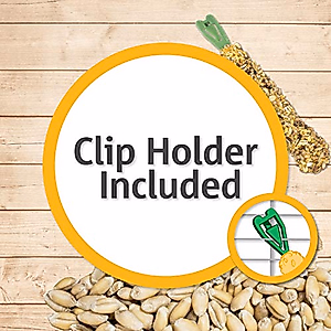 Vitakraft Crunch Sticks Harvest Apple Flavor Bird Treat for Parakeets (2 Sticks), 1.5 oz