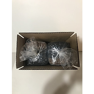 Mushroom Grow Kit - Magic All in One Mushroom Grow Bags - 4 Pack