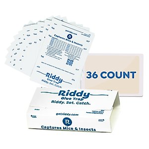 Riddy Glue Boards, 36 Boards, Pre-Baited, Ready to Use Mouse Traps Indoor for Home, Sticky Adhesive for Bugs and Rodents, 5.5" x 7.5"
