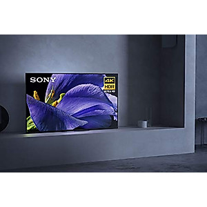 Sony XBR-65A9G 65-inch TV: MASTER Series BRAVIA OLED 4K Ultra HD Smart TV with HDR and Alexa Compatibility - 2019 Model