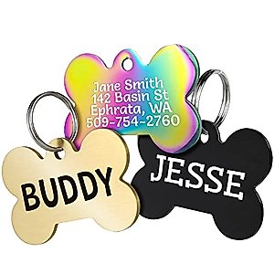 GoTags Personalized Bone Dog Tags in Rainbow Steel, Black Steel or Solid Brass, Custom Engraved Pet Tags for Dogs and Cats. Front and Back Engraving with Fun Fonts. Dog ID and Cat ID Tags (Pack of 1)