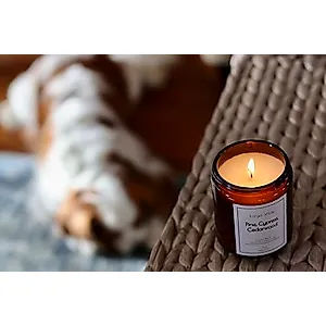 All-Natural Pine, Cypress, Cedarwood Aromatherapy Essential Oil Candle, Safe for People and Pets, Made with Pure Sustainable Organic Vegan Coconut Wax, Allergy Friendly, Non Toxic, Zero Waste