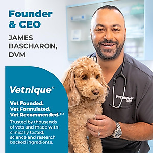 Glandex by Vetnique Daily Probiotics for Dogs with Prebiotics for Optimal Gut Health & Immune Support with Digestive Enzyme & Fiber All Natural Bacon Flavor Soft Chews (60ct Soft Chews)