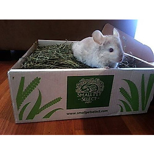 Small Pet Select 3rd Cutting "Super Soft" Timothy Hay Pet Food, 20 Lb.