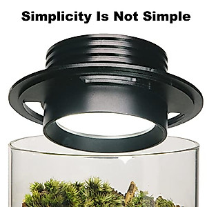 AREPK Desktop Glass Plant Terrarium with Grow Light (H:7.8" D:4"), for Succulent, Moss, Miniature Gardening Landscape, Betta Fish Tank, Indoor Plant Growth, Office Home Decoration, Plant Lovers Gifts