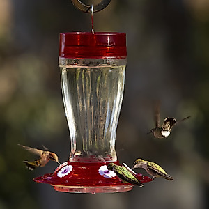 More Birds Bird Health+ Big Gulp Hummingbird Feeder, Glass Hummingbird Feeders for Outdoors, 5 Feeding Stations, 40 Ounces