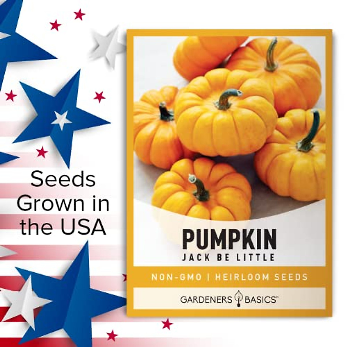 Mini Pumpkin Seeds for Planting (Jack Be Little) Small Heirloom, Non-GMO Vegetable Variety-5 Grams Seeds Great for Summer Pumpkin Gardens by Gardeners Basics
