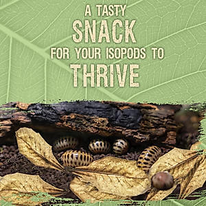 SunGrow 50 Pack Leaf Litter for Spider, Cricket & Isopod, Mini Catappa Dried Indian Almond Leaves, for Vivarium, Terrarium & Aquarium, Mimics Familiar Habitat & Perfect Hiding Spot, Terrarium Decor