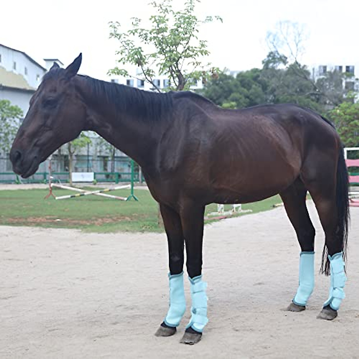 Gallopoff Fly Boots for Horses Set of 4, Breathable Comfy Mesh Horse Leggings Reduce Stomping, Hoof Stress, and Leg Fatigue SkyBlue Cob