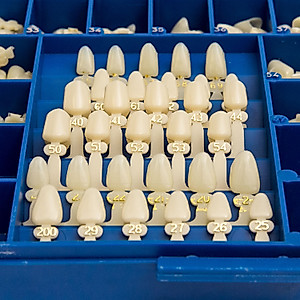 Polycarbonate Temporary Dental Crowns Kit 360 pcs with Crown Mold Guides