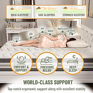 Ottomanson 12" Queen Mattress in a Box Made in USA, Firm Mattress, Hybrid Mattress Cool Improved Airflow with Edge to Edge Pocket Coil, Bed in A Box, Ottopedic