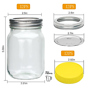 Accguan Mason Jars 16 oz with Lids,Glass Jar with Regular Lids and Bands Ideal for Jam,Honey,Shower/Wedding Favors, Clear, 12 Pack,Two Types of Lids
