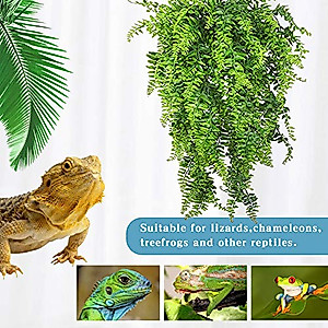 Tfwadmx Reptile Vines Plants Flexible Jungle Climbing Vine Gecko Coconut Coco Shell Hut Terrarium Plastic Plant Lizard Tank Accessories Habitat Decor for Gecko,Snake,Hermit Crab